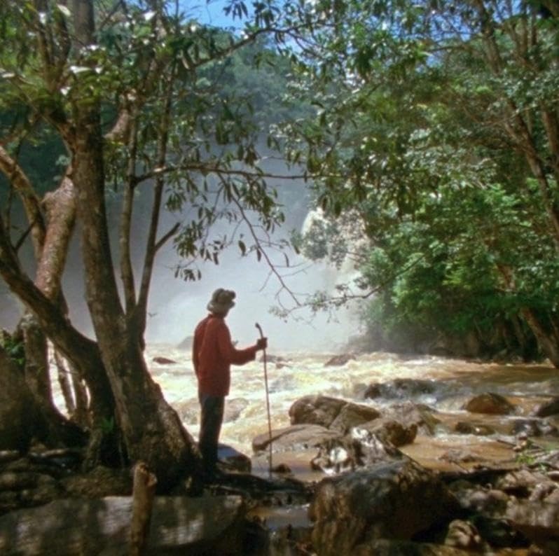 „Morichales“ (2023) – Testkammer